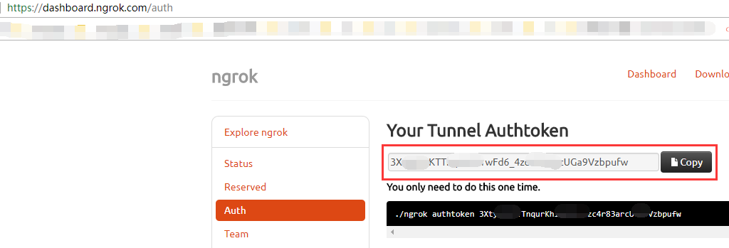 GitHub - zeroibc/ngrok-script