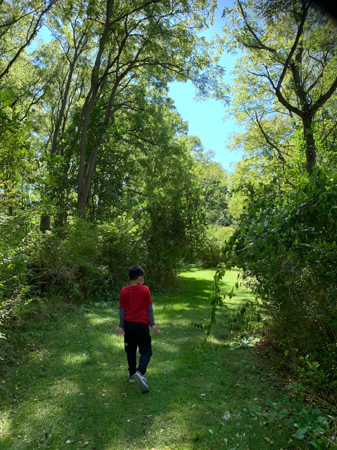 Walnut Spring Park – XIAO Qinghe's Website