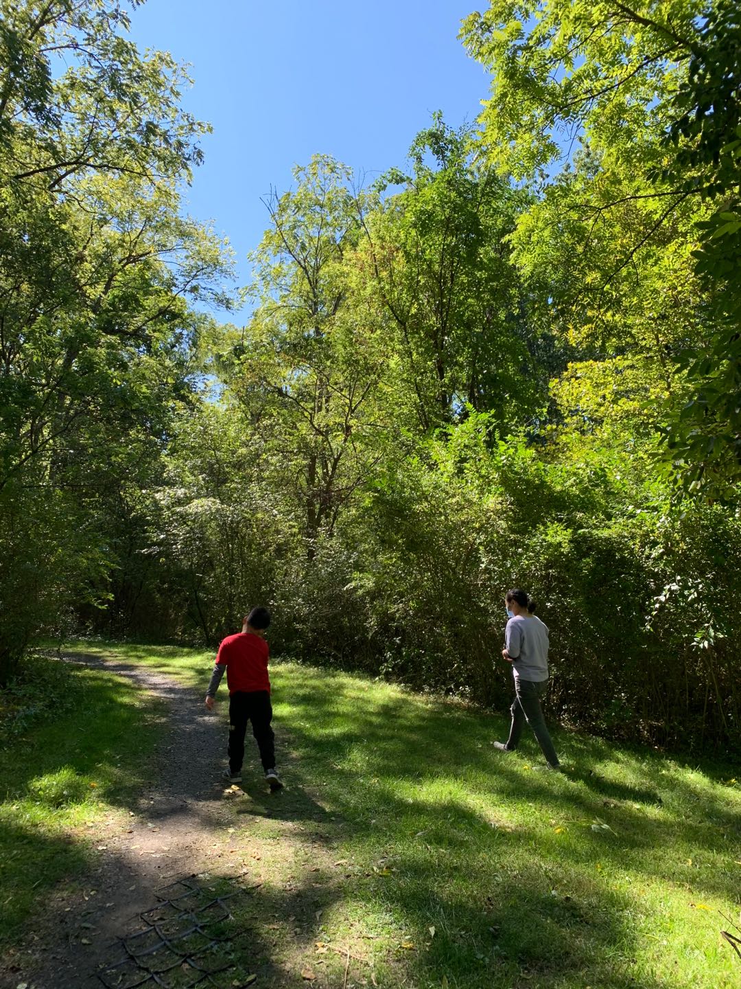 Walnut Spring Park – XIAO Qinghe's Website