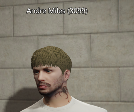 12333 - 路过图床